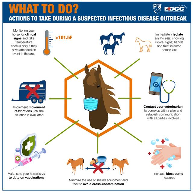 Article 98 | Equine Disease Communication Center